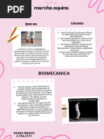 Marcha Steppage: Causas y Tratamiento | PDF | Electromiografia ...