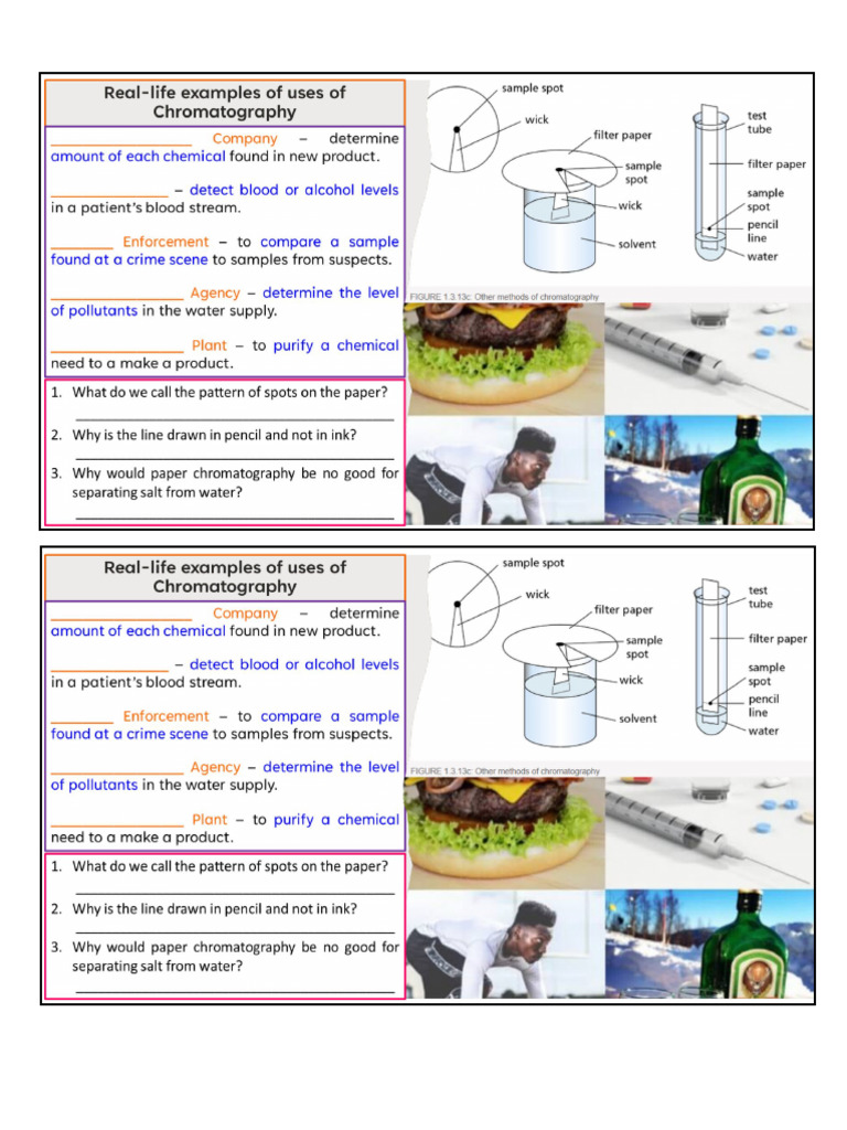 Real Life Examples Activity & Note Cloze | PDF