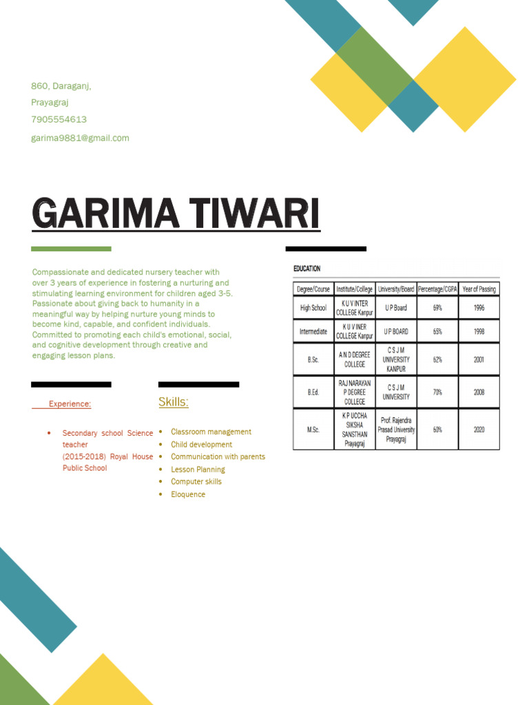 Geometric Resume Slay3r | PDF