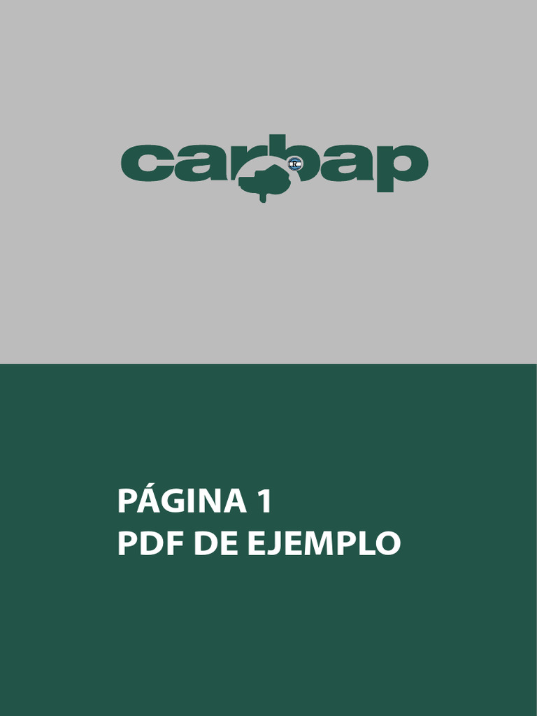 PDF de Ejemplo | PDF