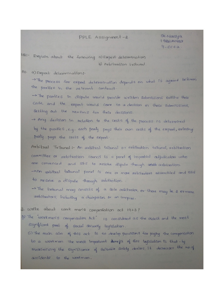 Pple Assignment 2 | PDF