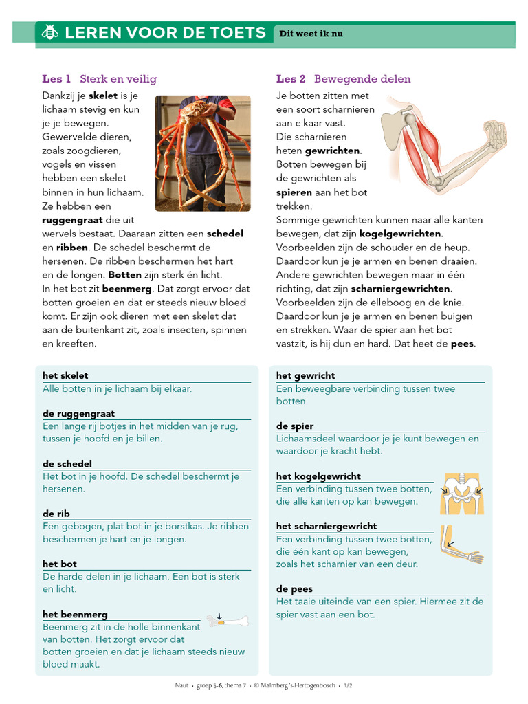 Naut Leren Voor de Toets Thema 7 | PDF