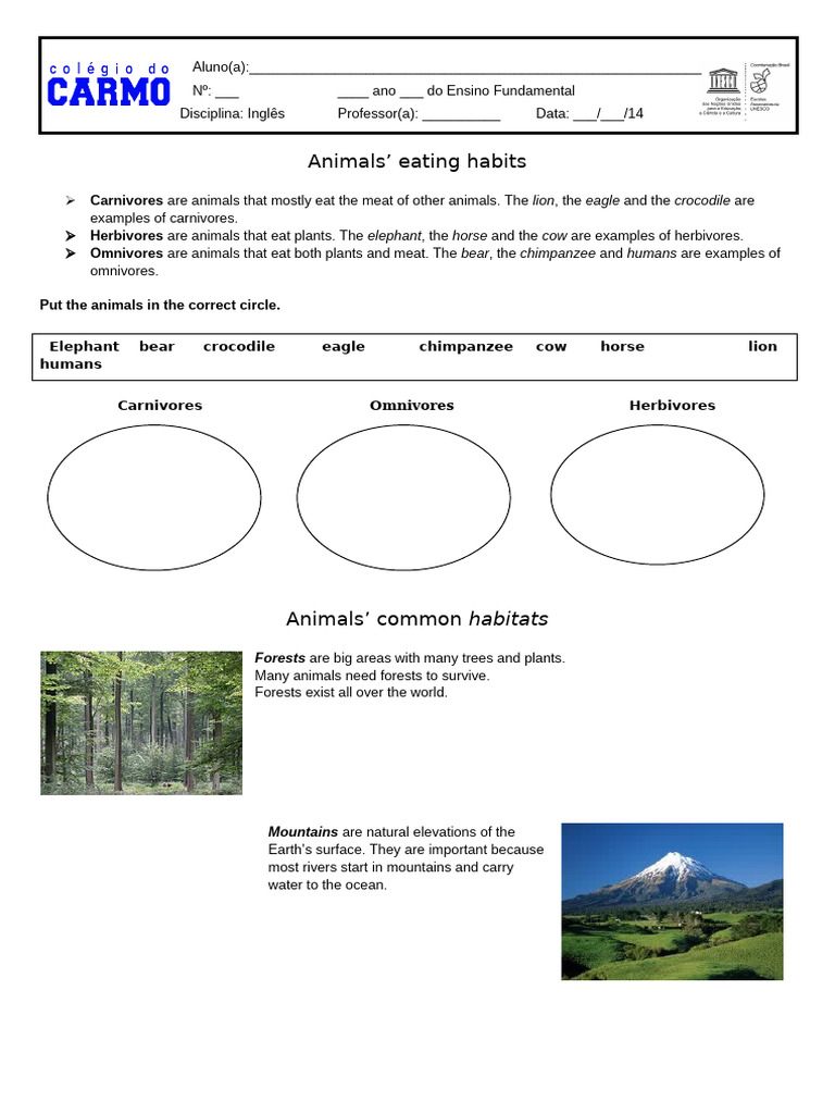 Animals' Diets and Habitats | PDF | Herbivore | Zoology