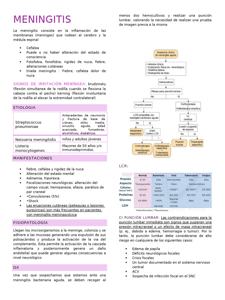 Meningitis: Síntomas, Diagnóstico y Tratamiento | PDF | Meningitis ...