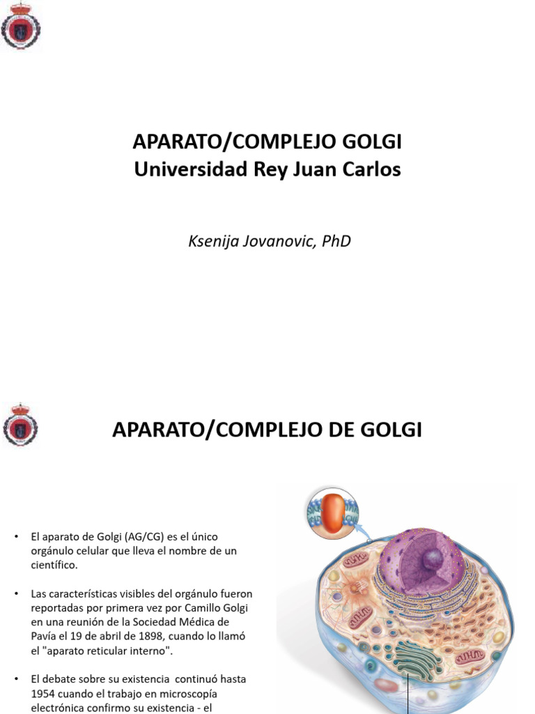 L6 Aparato de Golgi | PDF | Citoplasma | Biología Celular