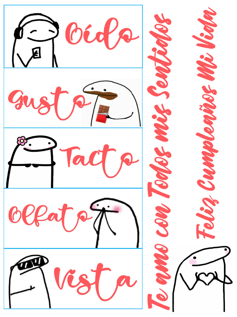 Caja 5 Sentidos Pdf Versión 1 Pdf