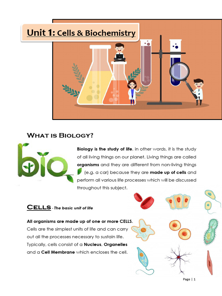 Unit 1 - Cells & Biochemistry | PDF | Carbohydrates | Fat