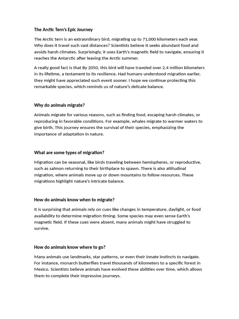 The Arctic Tern and Migration | PDF