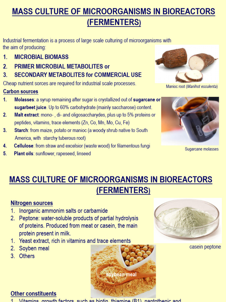 Bioreactors_20241106 (2) | PDF | Cheesemaking | Fermentation