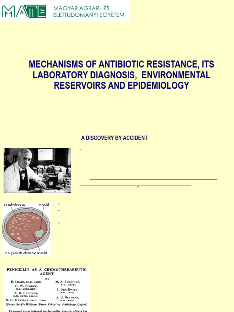 Antibiotic Resistance 20241030 | PDF | Antimicrobial Resistance | Biology