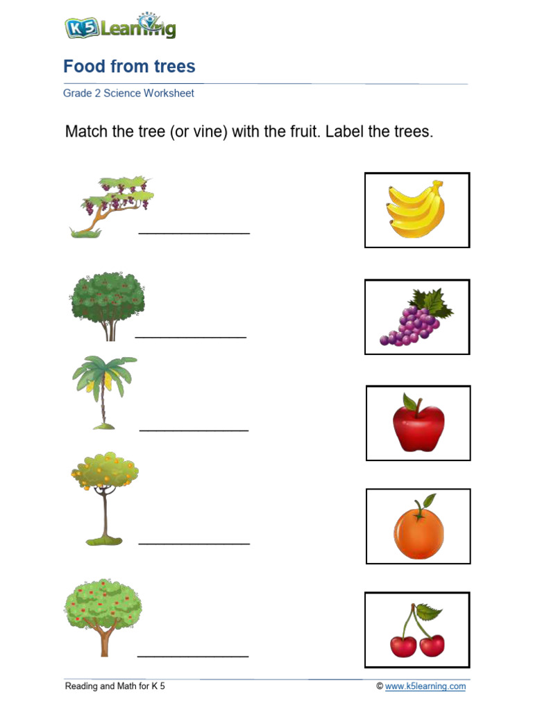 K-5 Reading & Math Worksheets | PDF