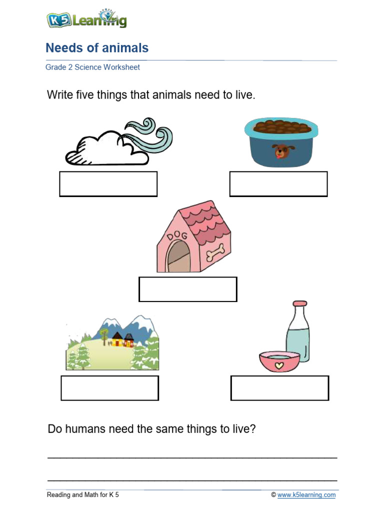 Grade 2 Animal Needs A | PDF