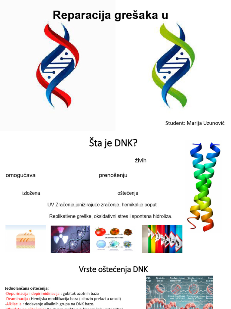 Reparacija Grešaka U Molekulu DNK - pdf11 | PDF