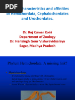 Unio Freshwater Mussel Classification | PDF | Mussel | Mollusca