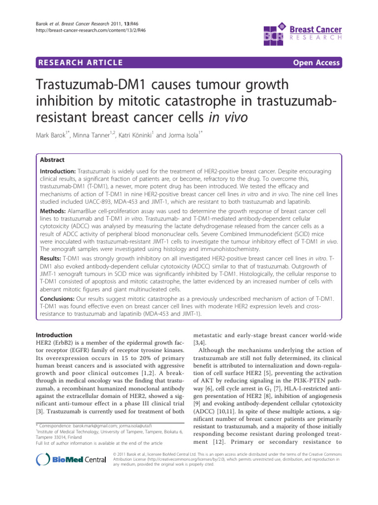 Trastuzumab-DM1 Causes Tumour Growth Inhibition by Mitotic Catastrophe ...