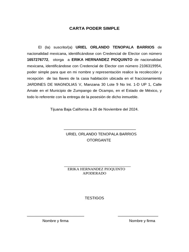 Carta Poder Simple | PDF