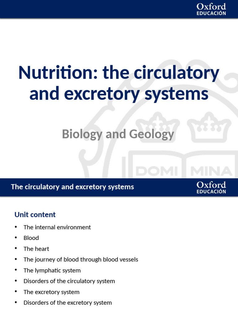 Circul Excret Presentation | PDF | Heart Valve | Circulatory System