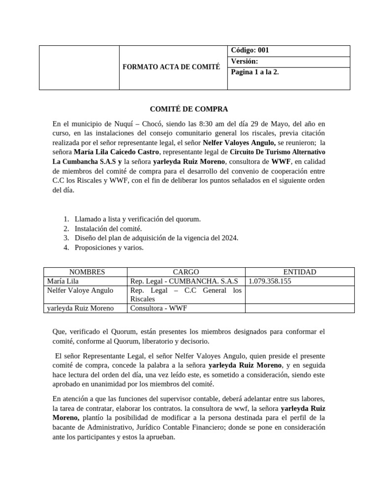 Formato Acta De Comité Pdf Gobierno