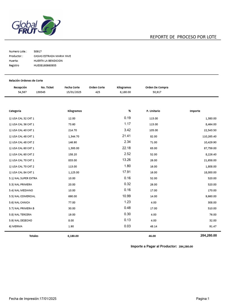 Reporte de Proceso Por Lote | PDF