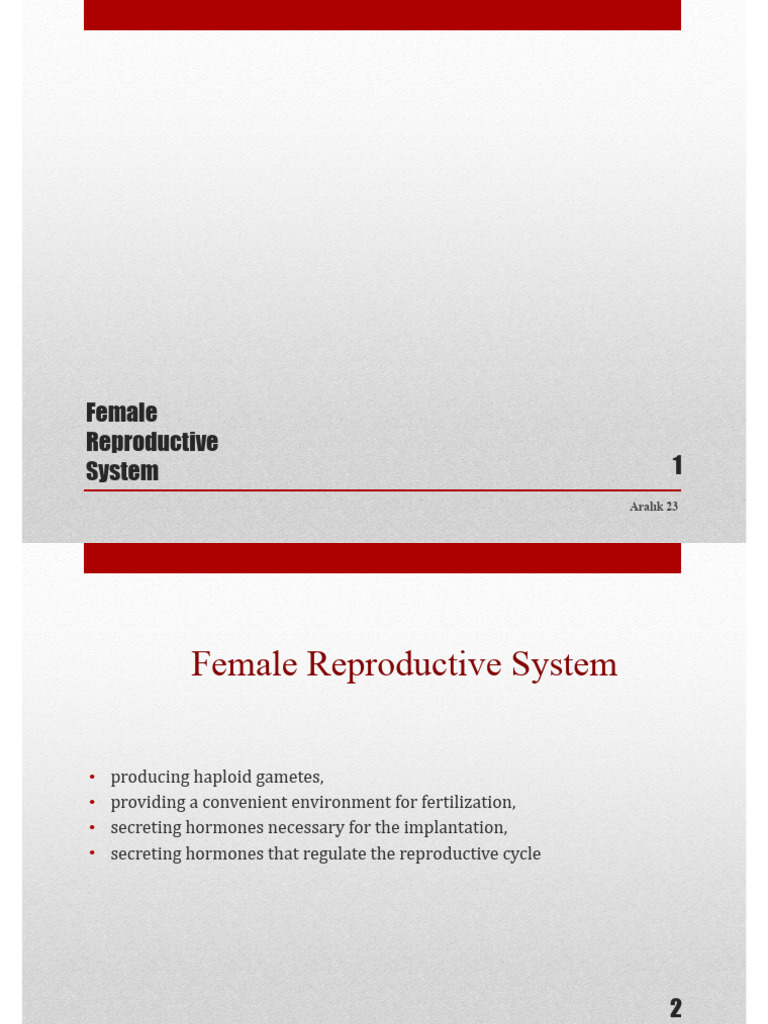 Female Reproductive System Overview | PDF | Ovary | Menstrual Cycle