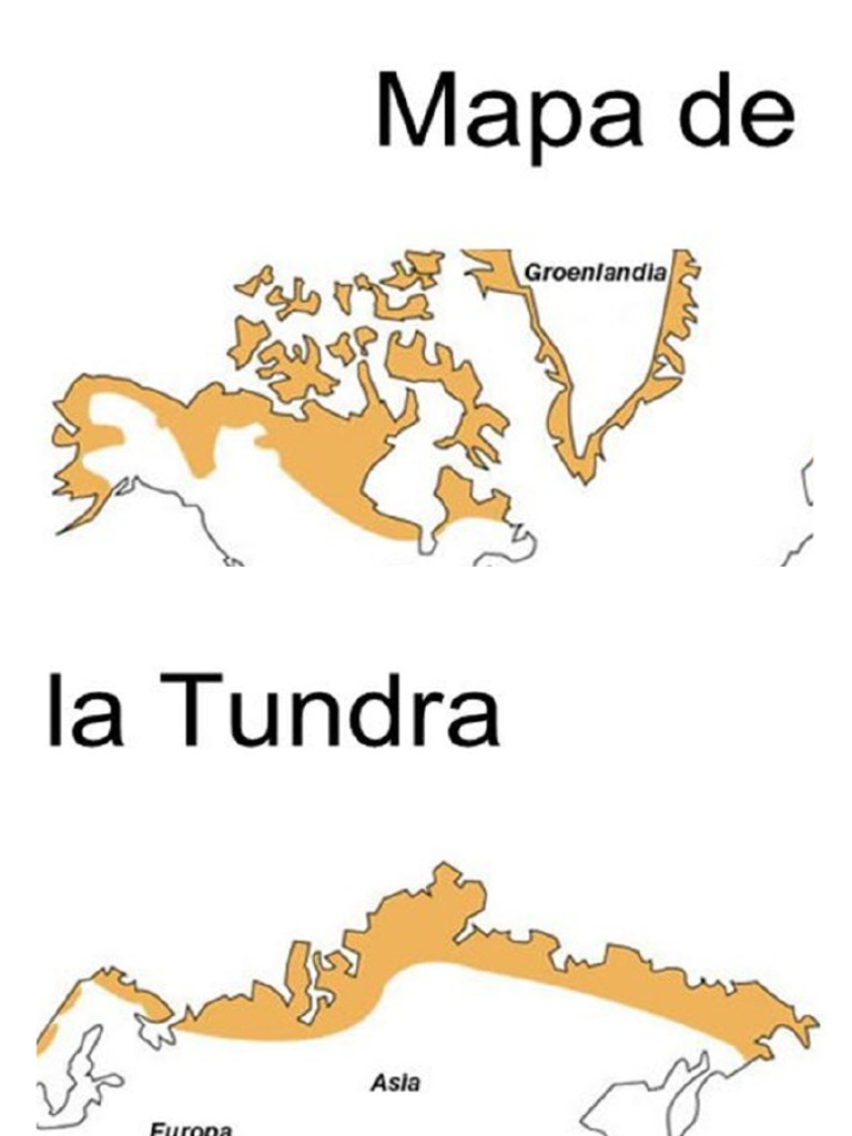 Tundra | PDF