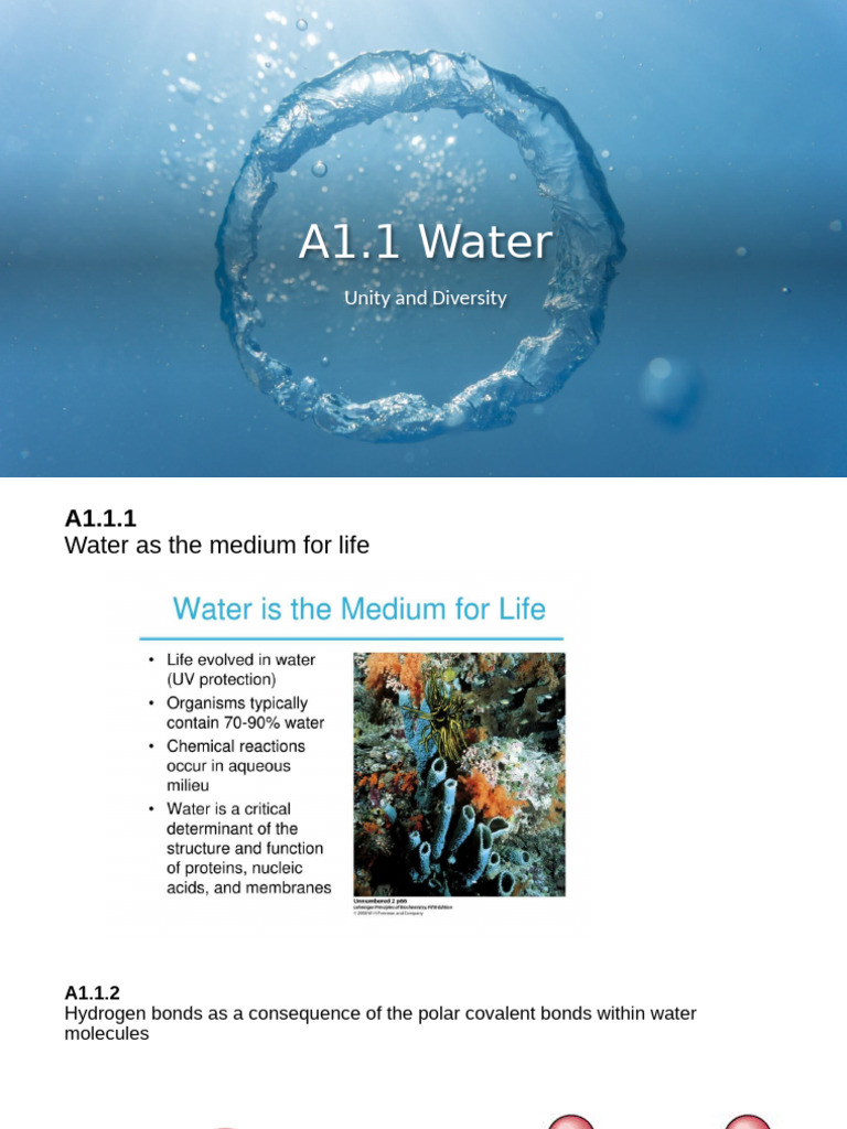 A1.1 Water | PDF | Water | Properties Of Water