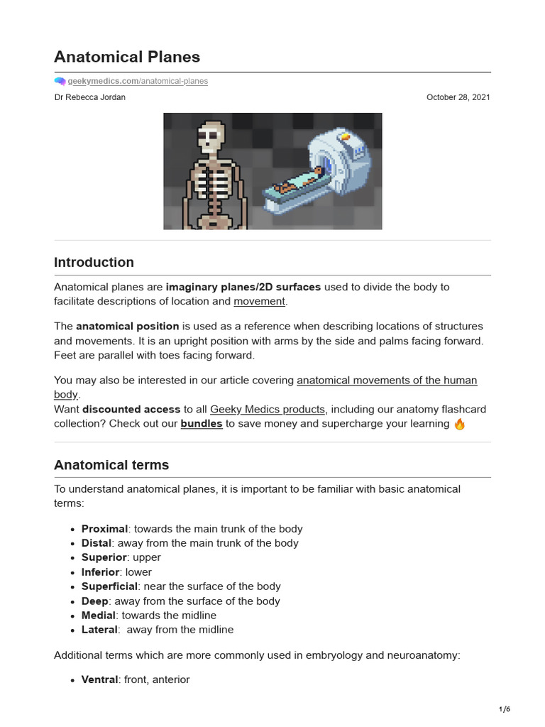 ANATOMY Planes | PDF | Anatomical Terms Of Location