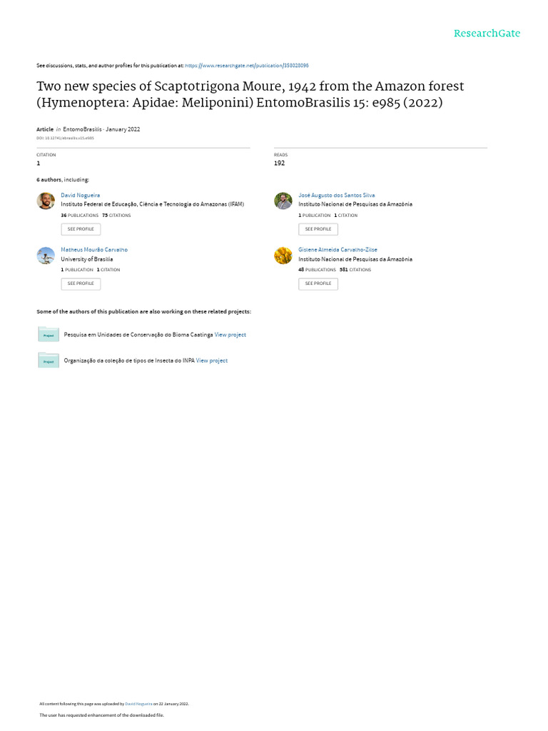 2022 Scap To Trigon A Paper | PDF | Anatomical Terms Of Location