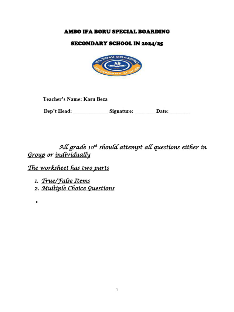 Grade 10 ICT Worksheet 2024/25 | PDF | Html Element | Software Development