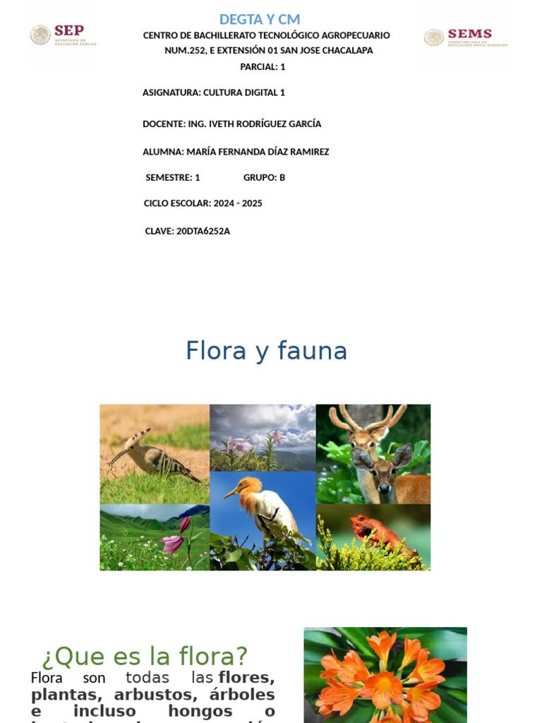 Flora y Fauna: Definiciones y Tipos | PDF | Fauna | Fauna silvestre