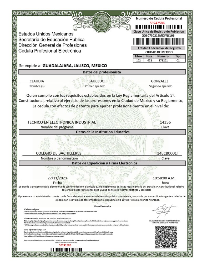 CEDULA PROFESIONAL ELECTRONica TOCAYOP | PDF