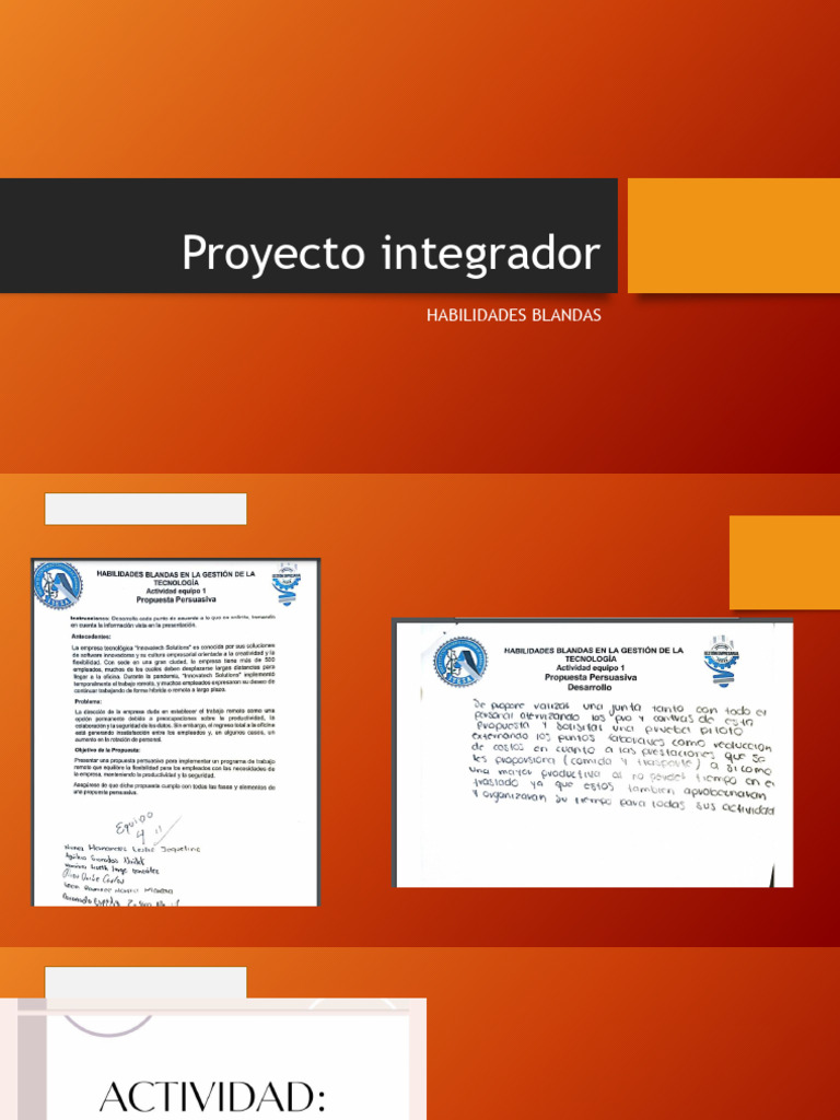 Proyecto Integrador | PDF