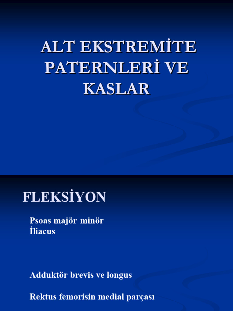 2023-2024 PNF - Kaslar Paternler | PDF