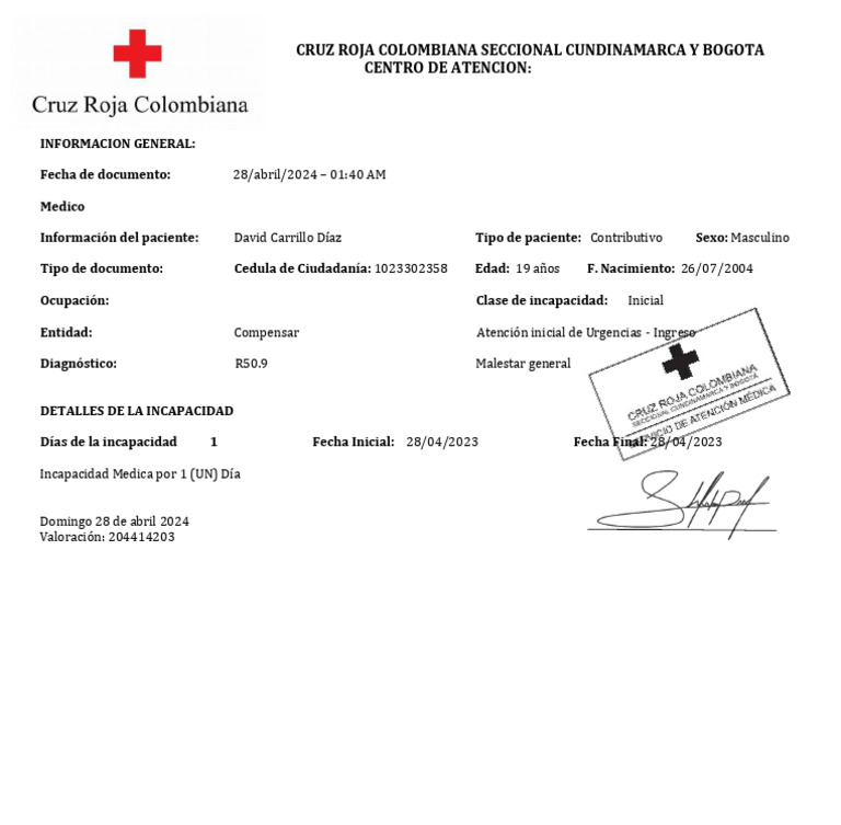 Incapacidad Cruz Roja | PDF