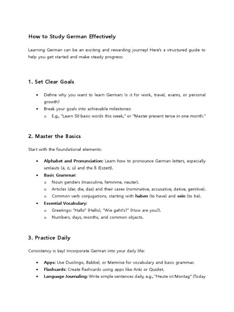 How To Study German Effectively | PDF