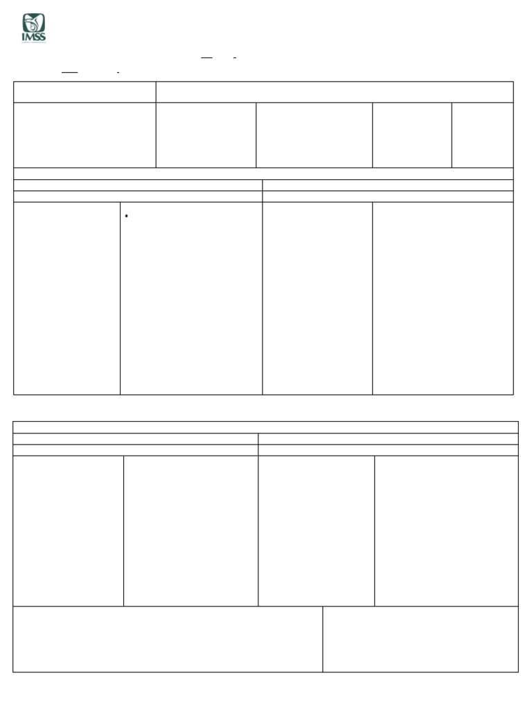 Formato Pae Blanco | PDF | Cuidado de la salud | Medicina