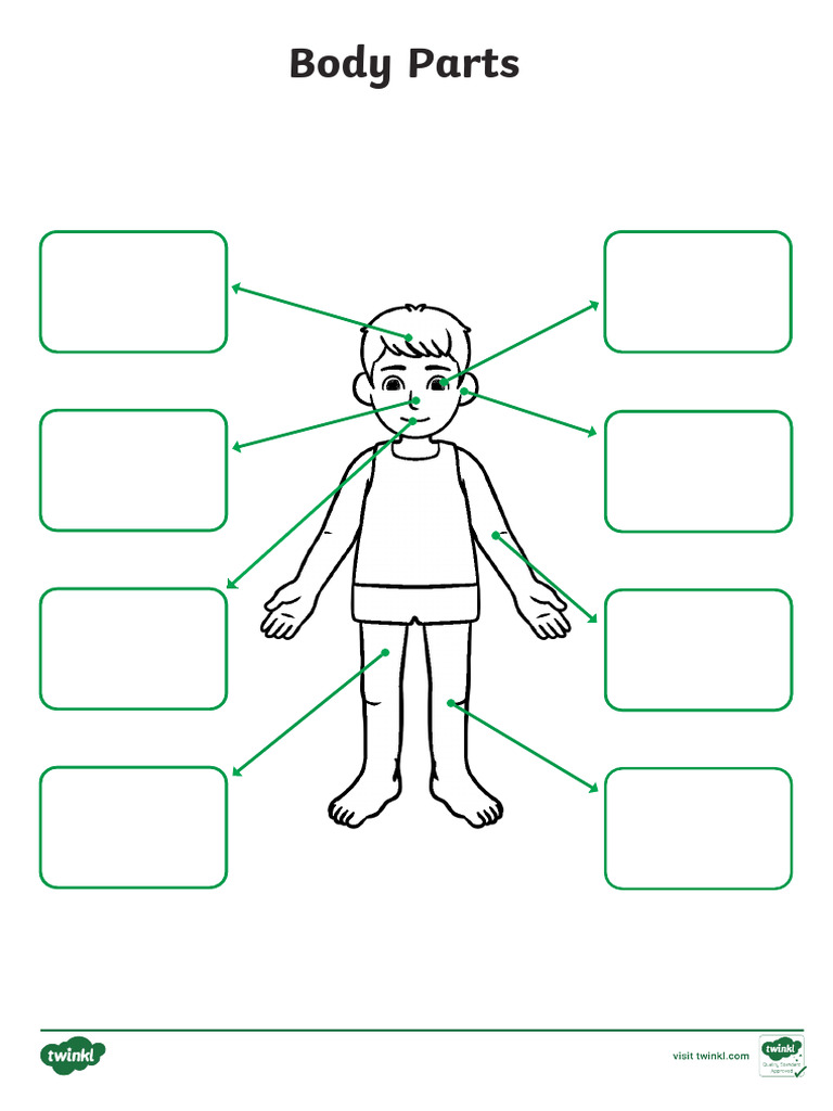 Body Parts | PDF