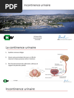 Mode d'emploi UROstim Wireless | PDF | Incontinence urinaire