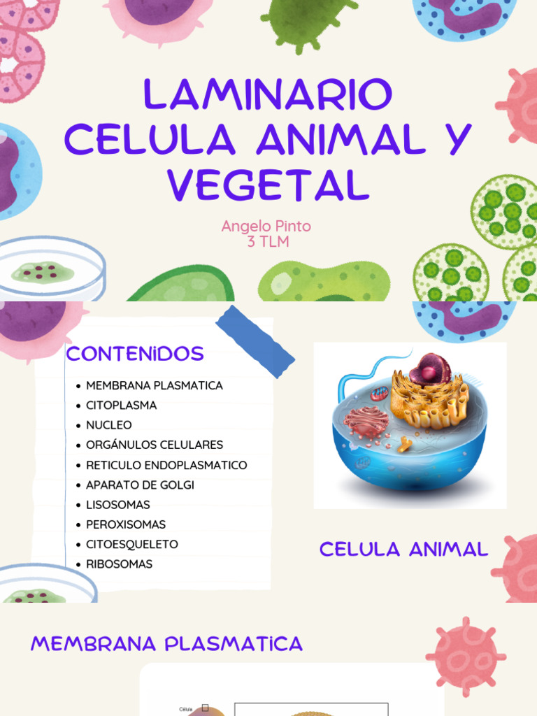 Laminario Biologia Angelo Pinto 3ero TLMC | PDF