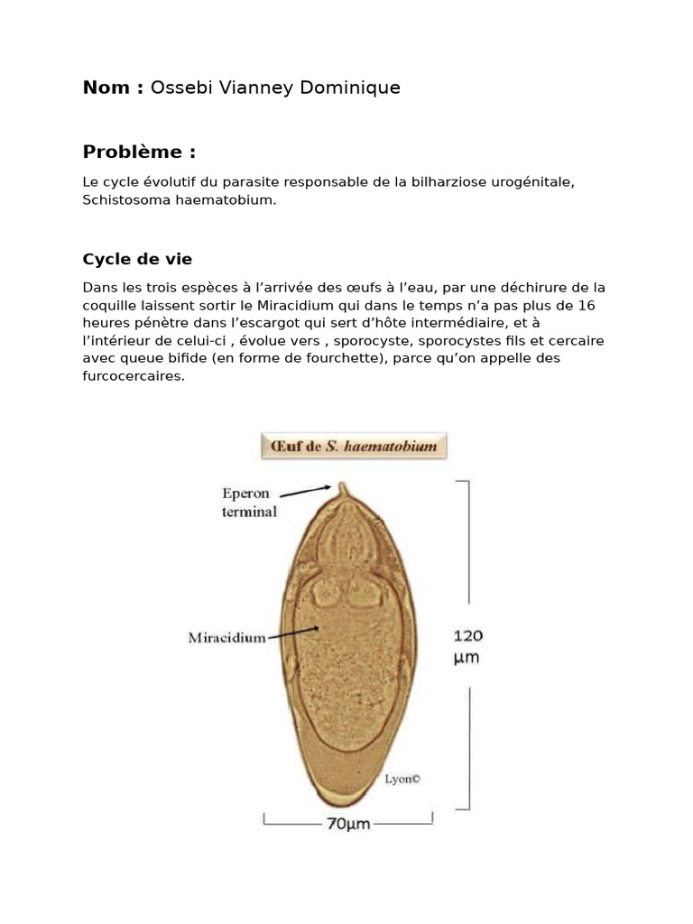 Cycle de vie de Schistosoma haematobium | PDF