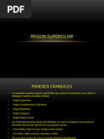 Anatomía de la Región Ciliar | PDF | Cabeza y cuello humanos | Anatomía