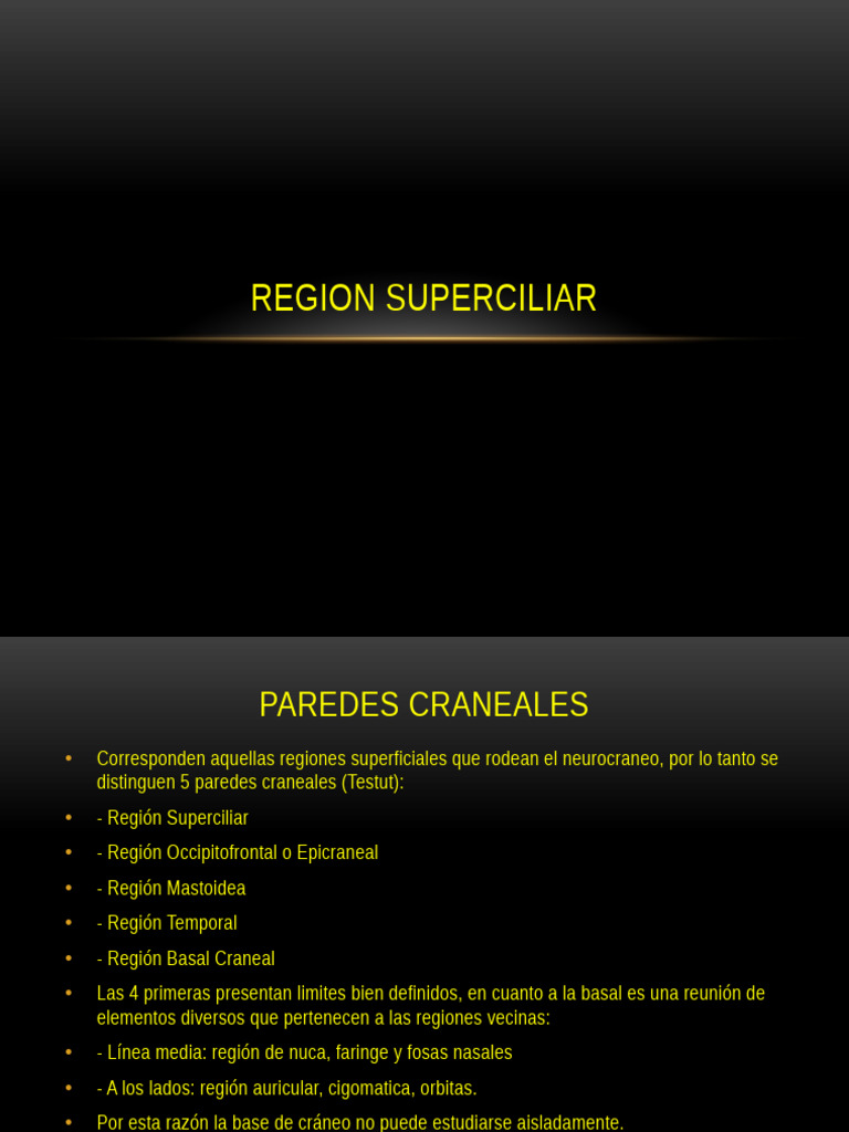 1 Region Superciliar | PDF | Cráneo | Anatomía humana