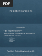 1 Region Superciliar | PDF | Cráneo | Anatomía humana