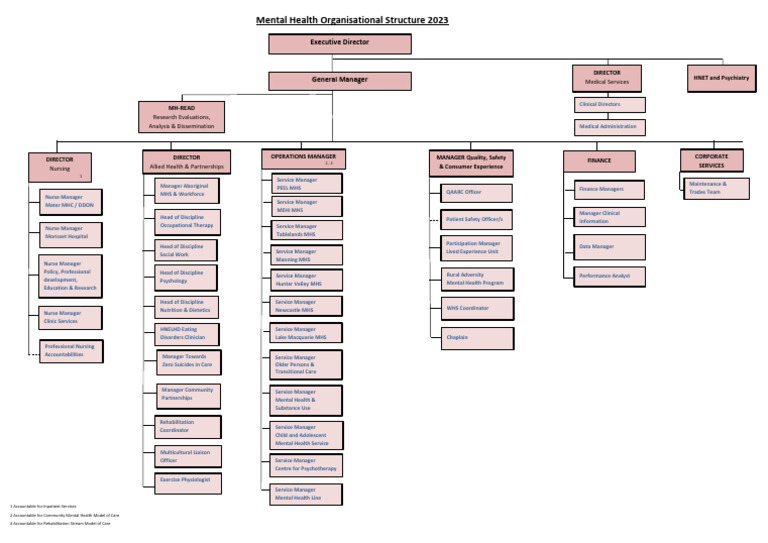 Mental Health Organisation Structure 2023 | PDF | Mental Health | Nursing