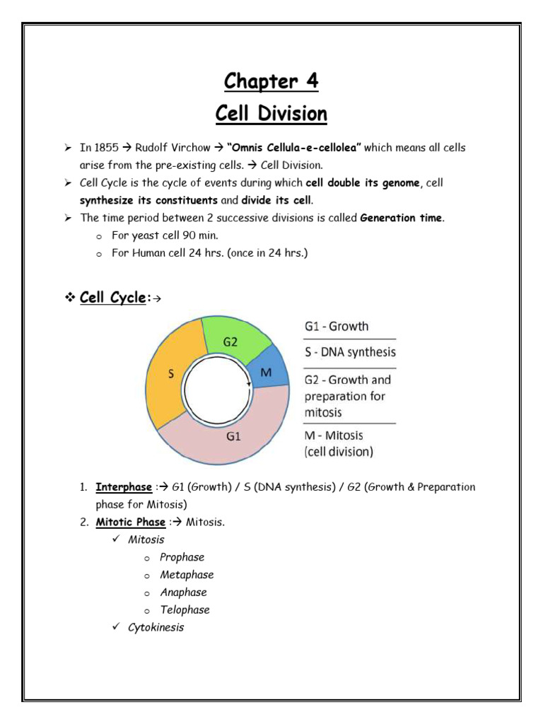 Ch. 4 Cell Division | PDF