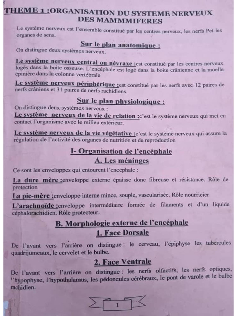 Résumé Tous Les Leçons SVT | PDF
