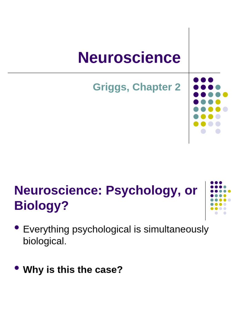 Griggs, Chapter 2 - Unit 2 Lecture | PDF | Neuron | Neurotransmitter