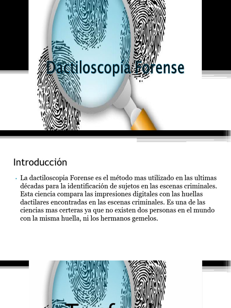 Sesion 10 Dactiloscopia Forense | PDF | Huella dactilar