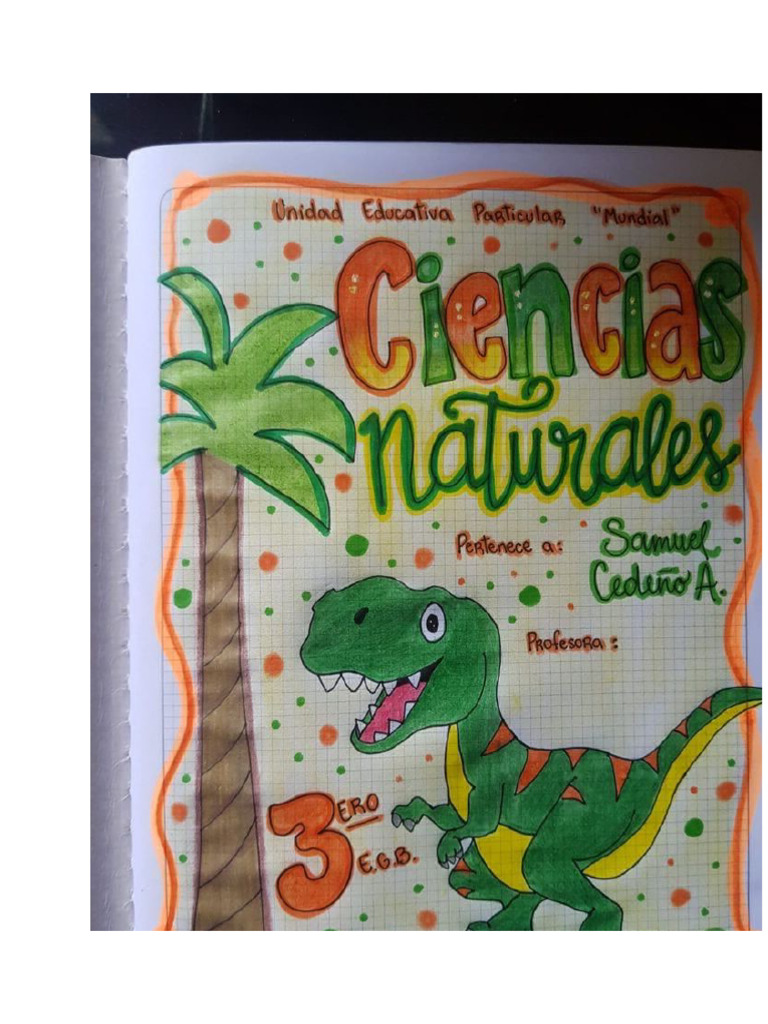 Caratulas | PDF