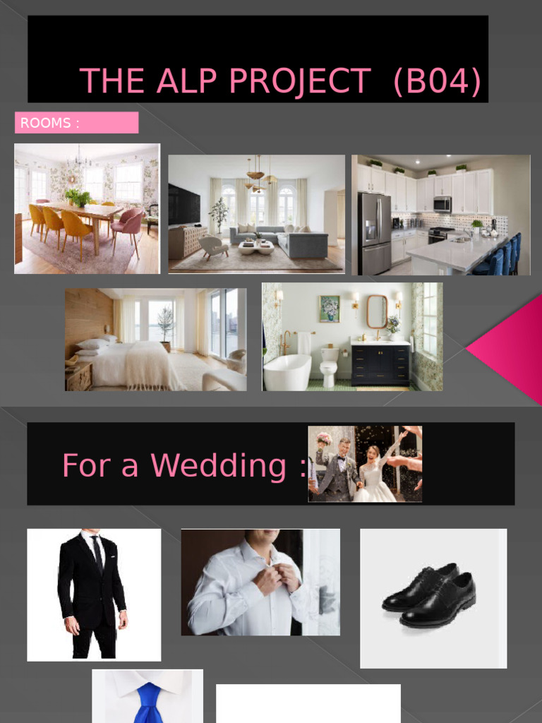 The Alp Project (b04) | PDF